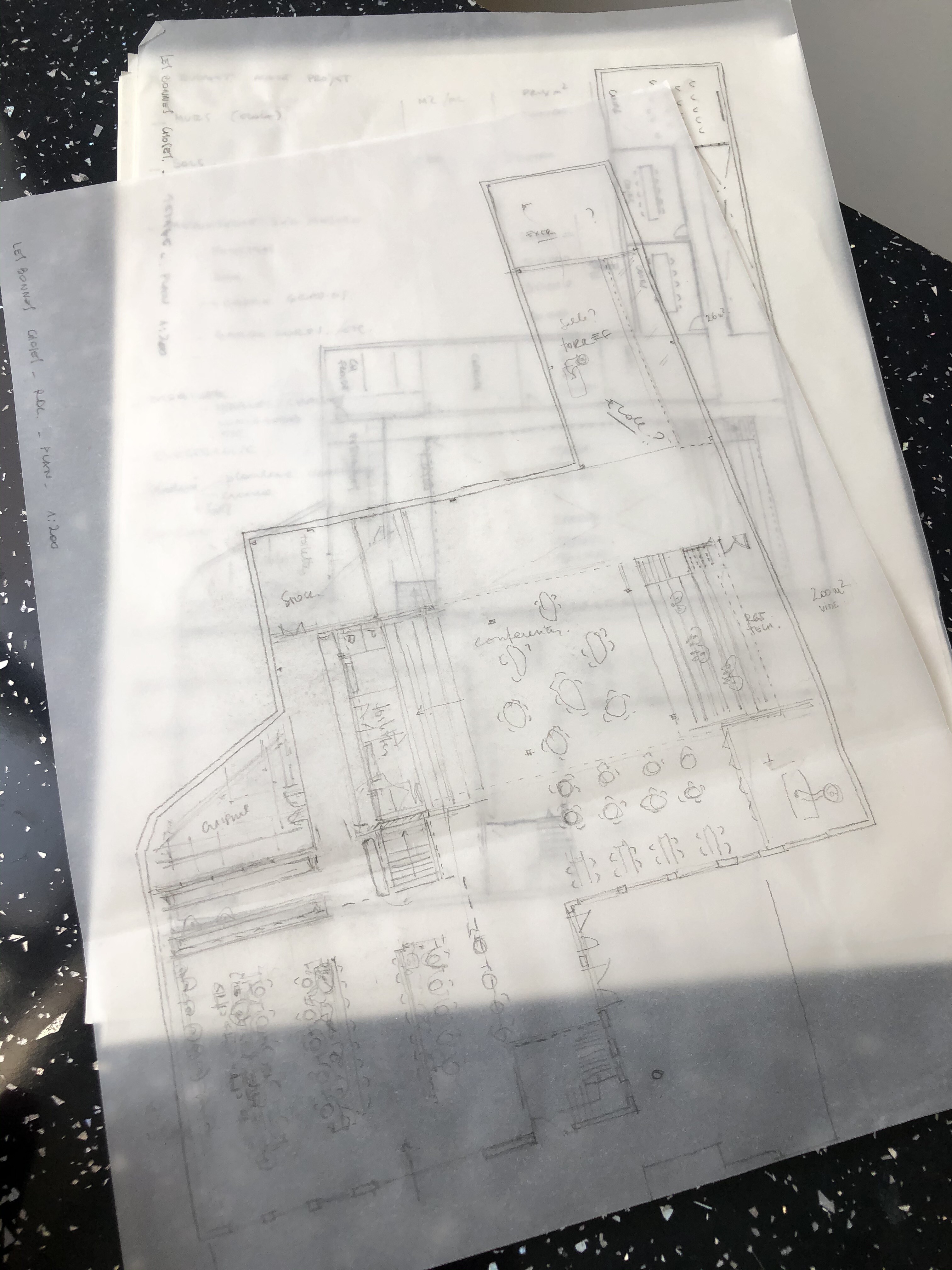 MISSION - The Juno Space